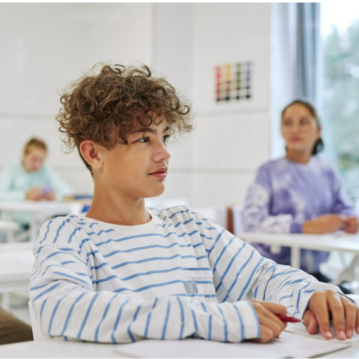 European School of Trieste – International Level of Education